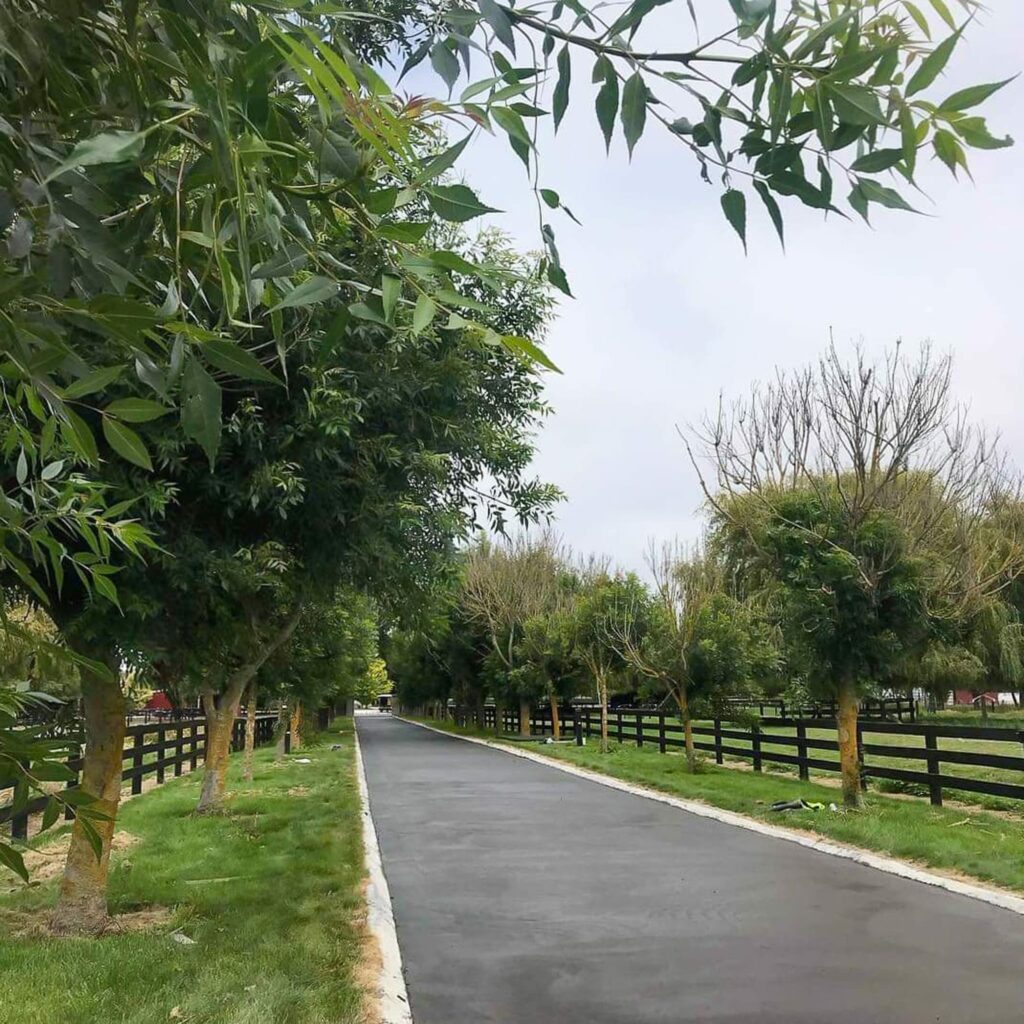 Butt Residence Driveway | BG Cooke Construction