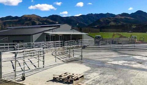 Dunlea Dairy Farm | BG Cooke Construction